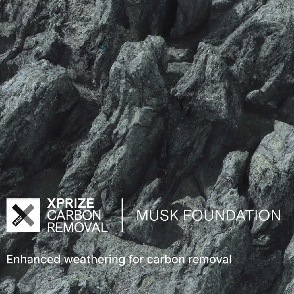 X Prize: how these companies remove carbon via enhanced weathering ...