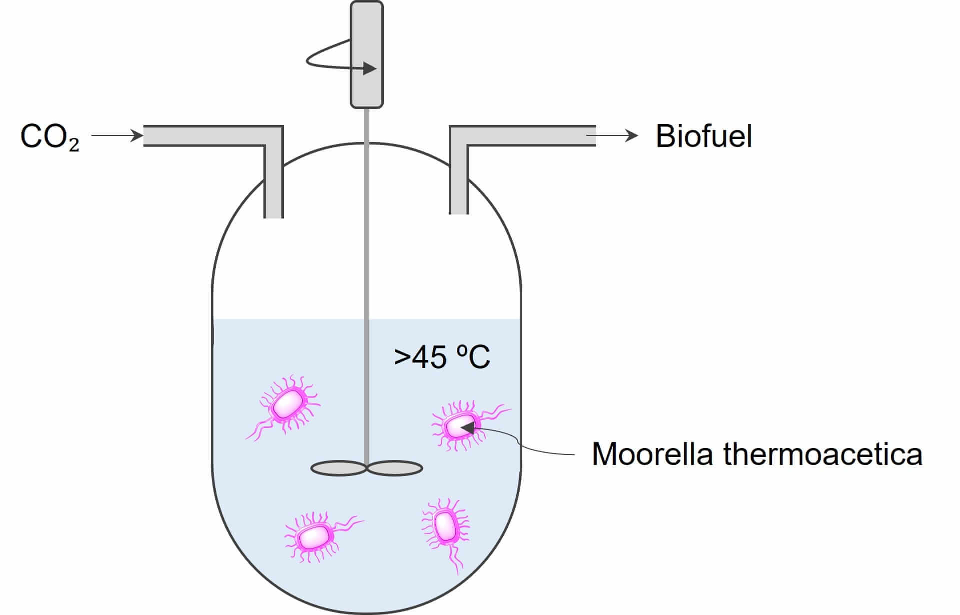 Again ($98.8 million to use millennia-old bacteria to transform CO2 ...